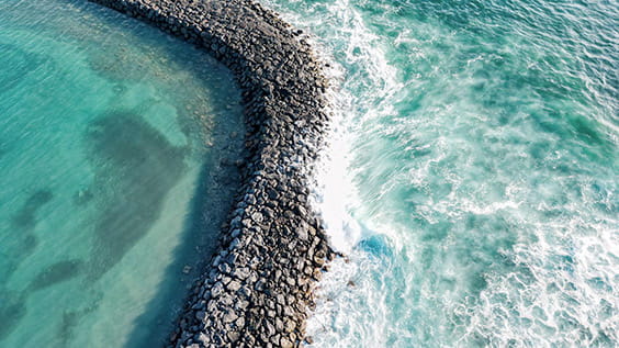 サステナビリティ | Allianz Global Investors